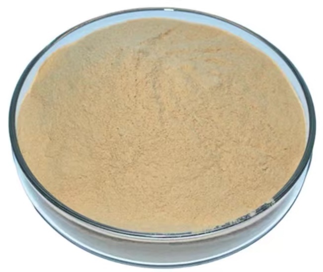 Bone marrow powder（protein≥90%）for humans and dogs - APH Pharma Limited